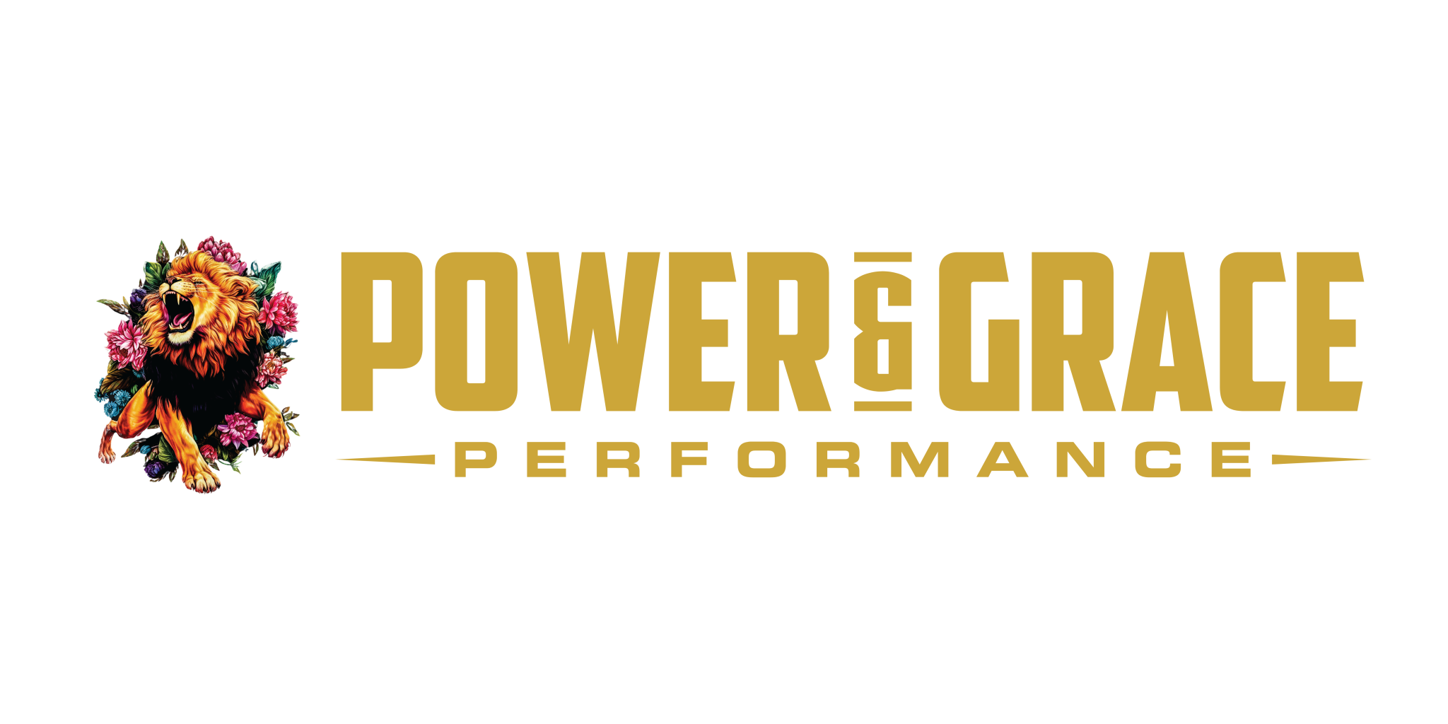 Power & Grace Performance: Remote Olympic Lifting Coaching